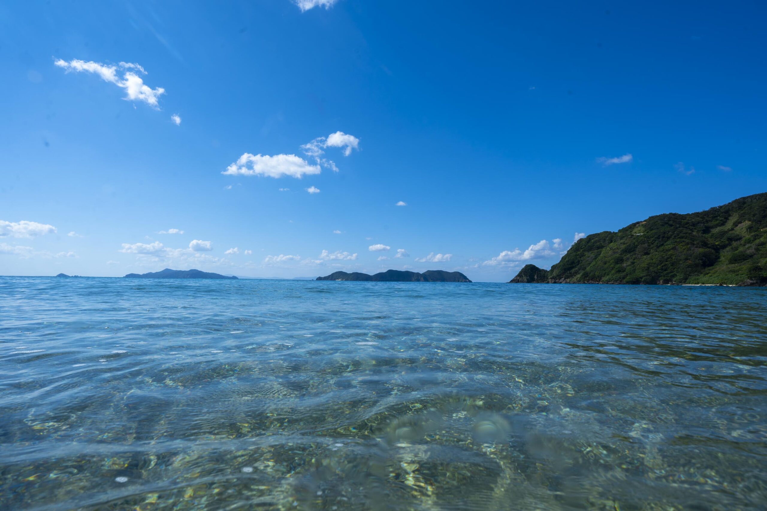 Sukomo – WOODVILLE HOUSE KAKEROMA ISLAND